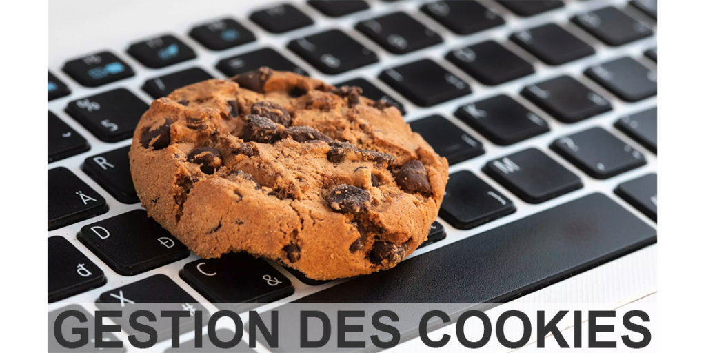 Gestion des cookies : Comment respecter le RGPD avec la fin des cookies ...